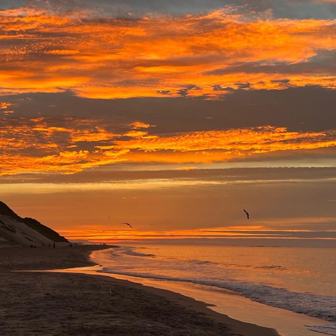 How to avoid avoidable accidents…